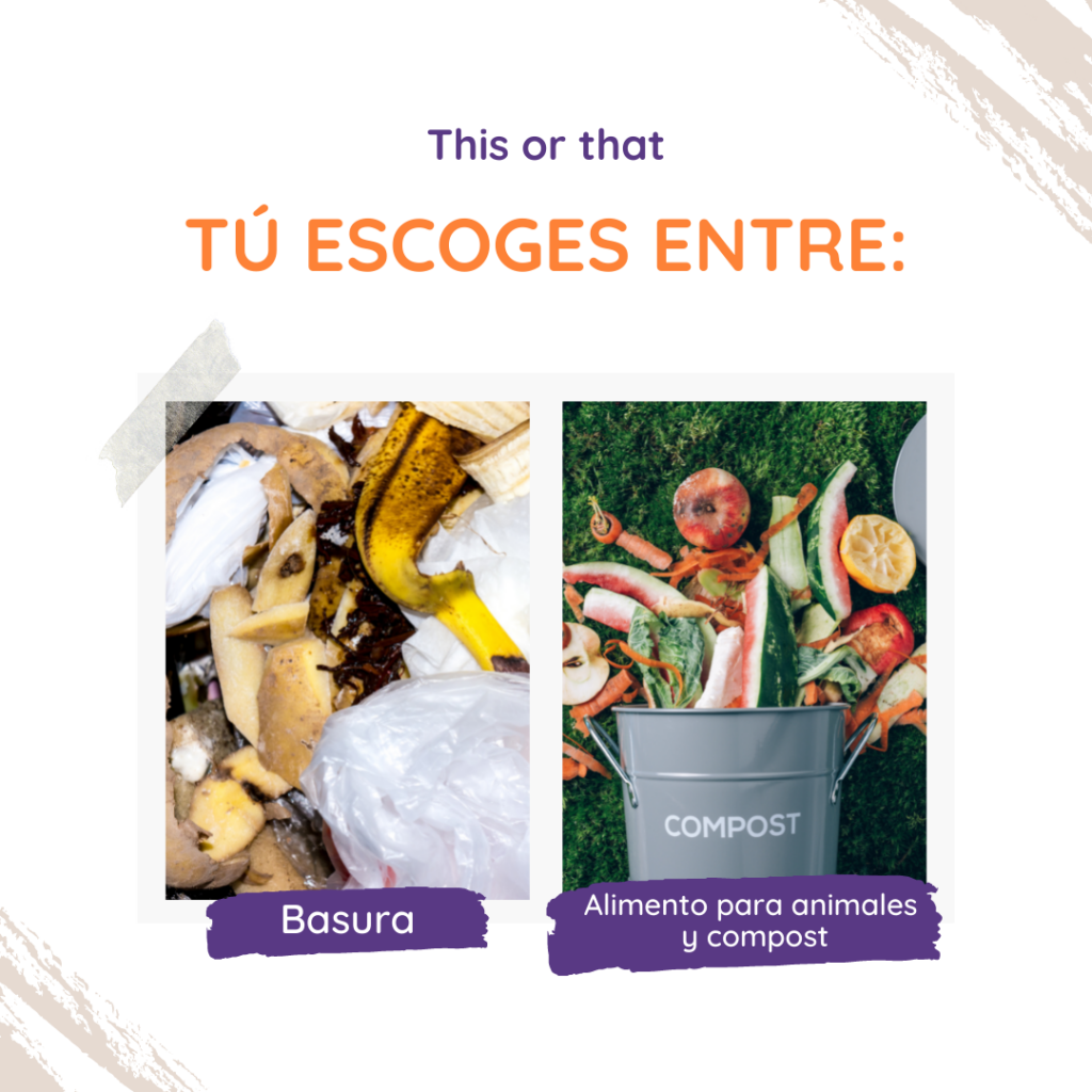 SINBA – ecoybionegocios